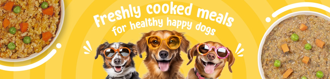 Freshly Cooked Meals | Fresh Food for Dogs | PetChef